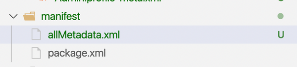 How to retrieve your entire Salesforce metadata with 2 commands
